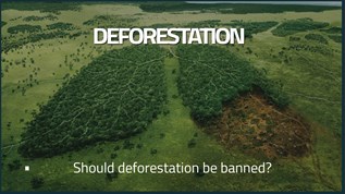 Deforestation at emaze Presentation