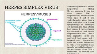 Herpes Simplex Virus at emaze Presentation