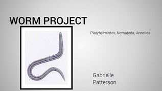 Worm at emaze Presentation