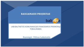 Baltneta at emaze Presentation