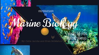 introduction to marine bioogy at emaze Presentation