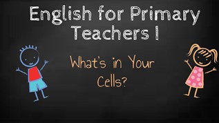 English for Primary at emaze Presentation