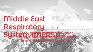 mers at emaze Presentation