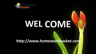 ACC 230 Week 2 Assignment Lucent Technologies Case at emaze Presentation