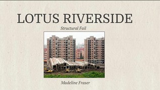 Lotus at emaze Presentation