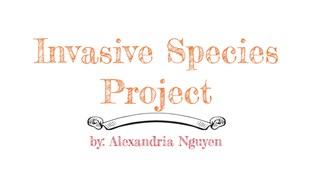 Invasive Species at emaze Presentation