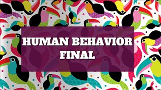 Human Behavior at emaze Presentation