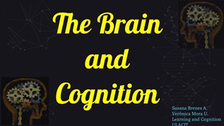 The Brain and Cognition at emaze Presentation