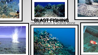 Blast Fishing at emaze Presentation