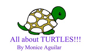 All about TURTLES!!! at emaze Presentation