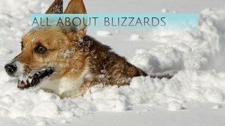 Blizzard at emaze Presentation