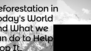 Deforestation at emaze Presentation