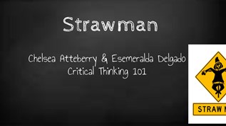 Strawman at emaze Presentation