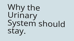Why the Urinary System Should Stay at emaze Presentation