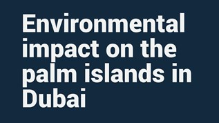 Environmental impact at emaze Presentation