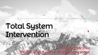 Total System Intervention at emaze Presentation