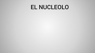 El nucleolo at emaze Presentation