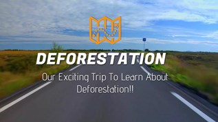 Deforestation at emaze Presentation