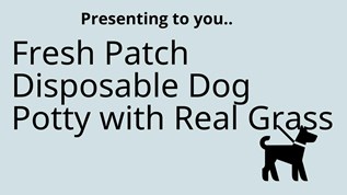 Fresh Patch at emaze Presentation