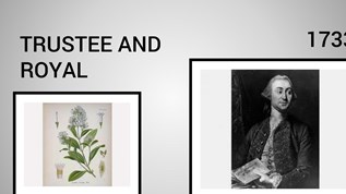 Trustee And royalThe at emaze Presentation