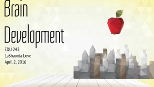 Brain Development at emaze Presentation