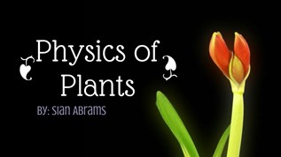 Physics of Plants at emaze Presentation