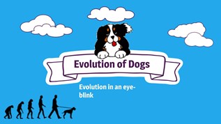 Dog Evolution at emaze Presentation