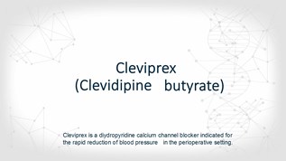 Clevi2 at emaze Presentation