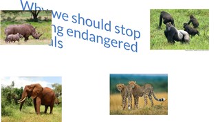Why we should stop hunting endangered animals at emaze Presentation