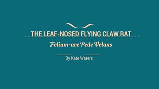 The leaf-nosed flying claw rat at emaze Presentation