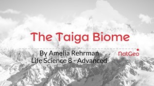 Taiga Biome Slideshow at emaze Presentation