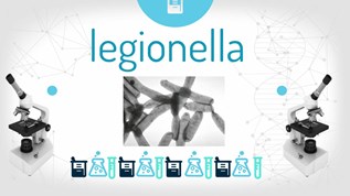 legionella at emaze Presentation
