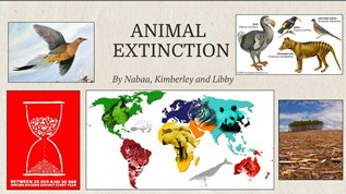 Animal Extinction at emaze Presentation