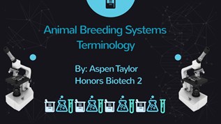 Animal Breeding Systems Terminology at emaze Presentation