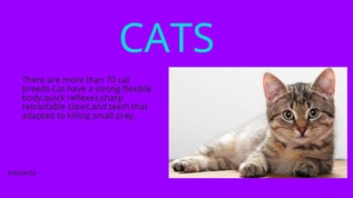 Cats at emaze Presentation