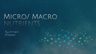 Micro Macro at emaze Presentation