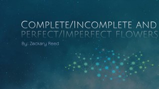 CompleteIncomplete Flowers at emaze Presentation