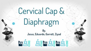 Cervical CapDiaphragm at emaze Presentation