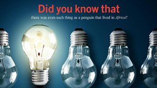 Save the Penguins! at emaze Presentation