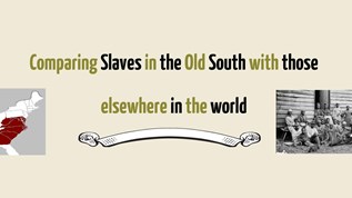 Comparing Slaves in at emaze Presentation