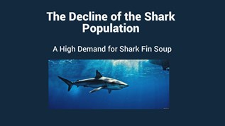 The Decline of the Shark Population at emaze Presentation
