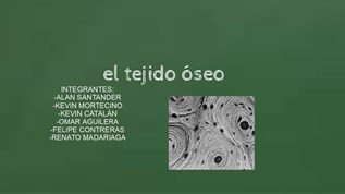 tejido oseo at emaze Presentation