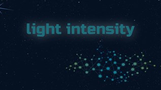 light intensity at emaze Presentation