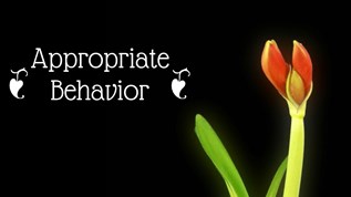 Appropriate Behavior at emaze Presentation