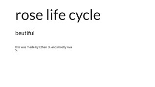 rose life at emaze Presentation