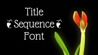 Title Font at emaze Presentation