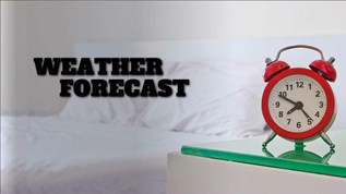 WEATHER FORECAST at emaze Presentation