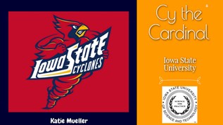 Cy the Cardinal 2 at emaze Presentation