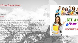 SOC 313 Genius Education Expertsoc313geniusexpert.com at emaze Presentation