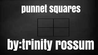 Trinity Rossum at emaze Presentation